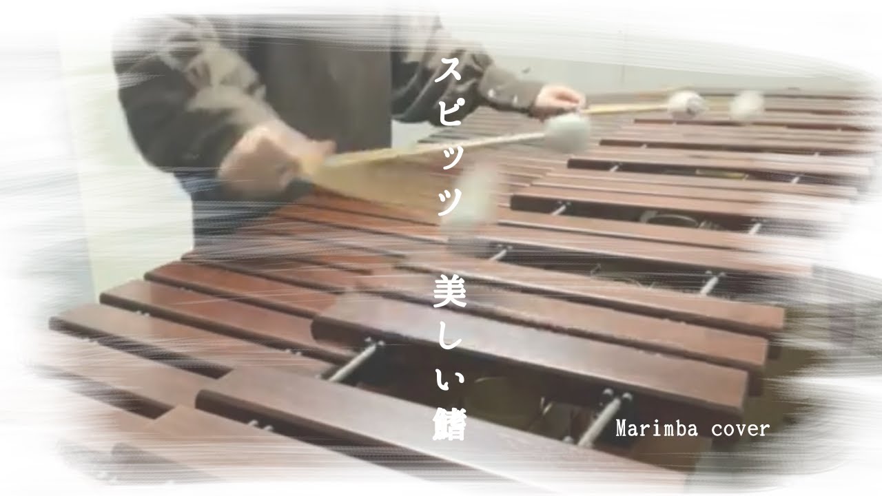 美しい鰭(Beautiful Fin) - スピッツ(Spitz) / marimba cover - YouTube