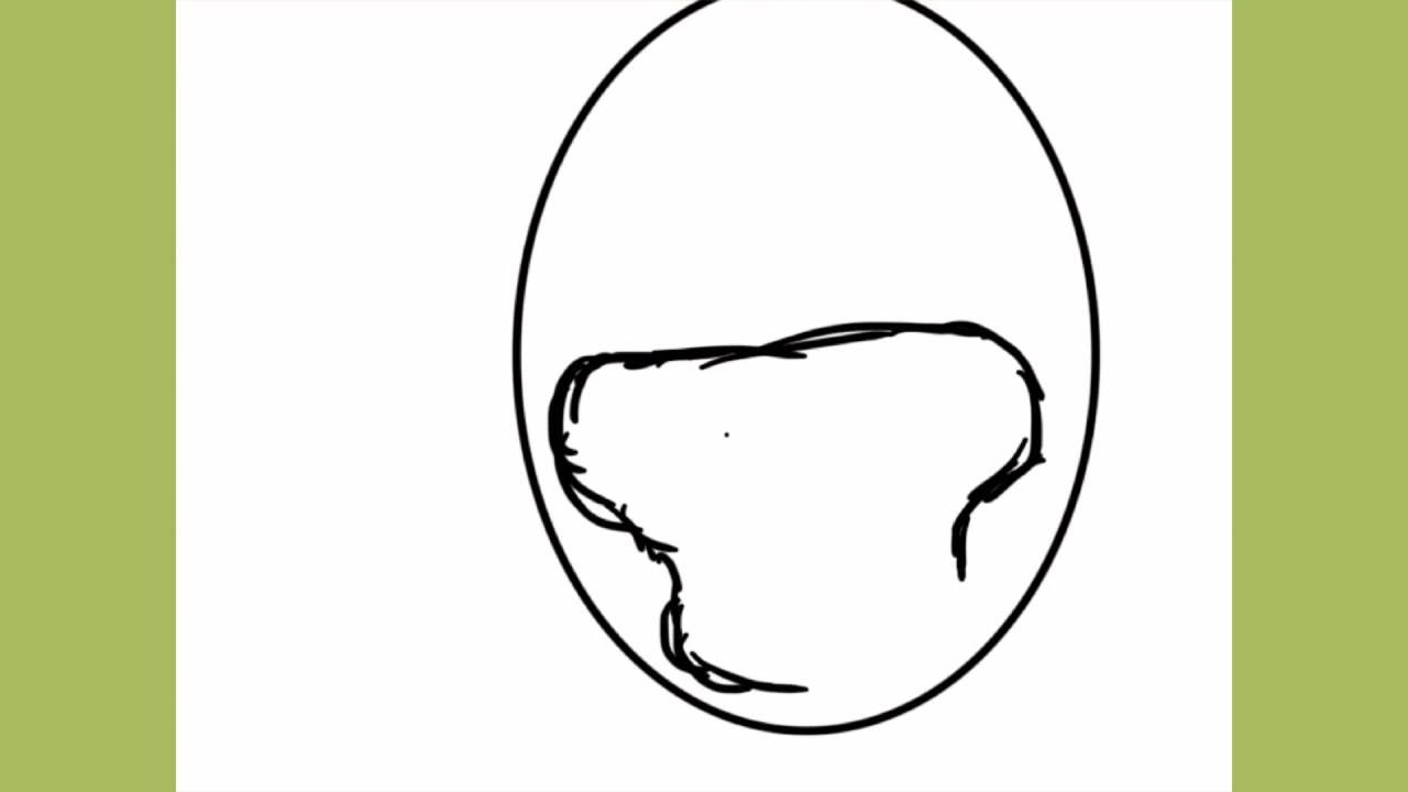 HARAMBE DRAWING LOL!! - YouTube