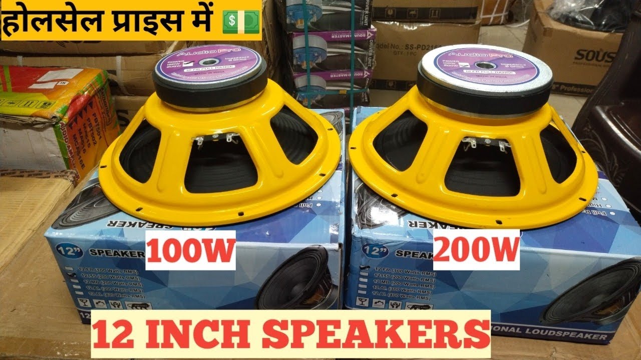 12 inch 100w and 200w speaker review by Dj world | 12 inch speakers ...