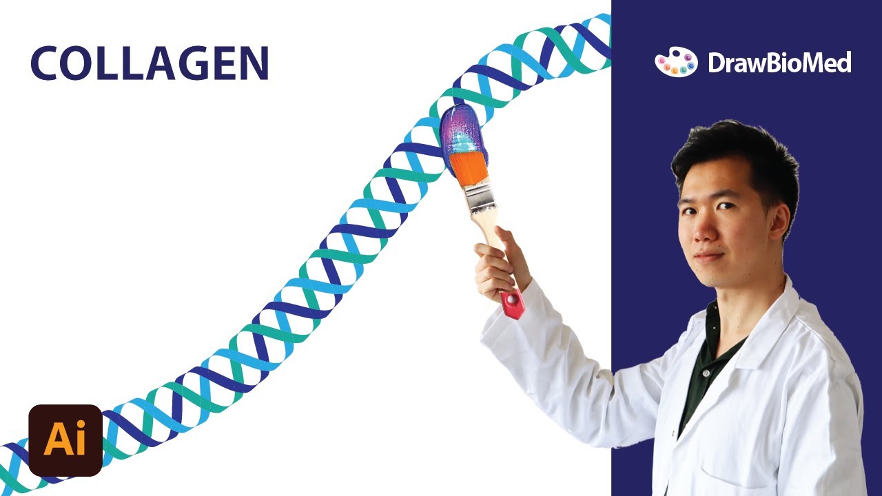 How to Draw Collagen in Adobe Illustrator | Scientific Illustration ...