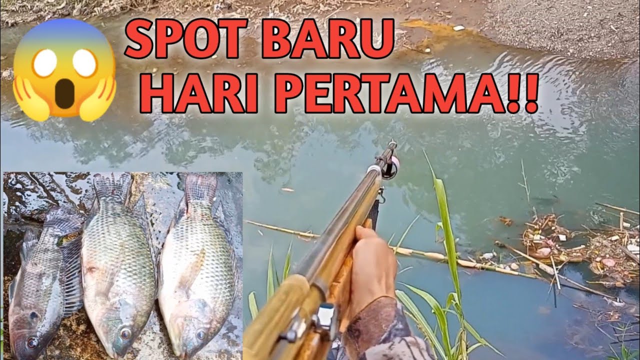 PASER MANIA!! PASER IKAN NILA DI SPOT BARU!! #paserikan #pasermania # ...