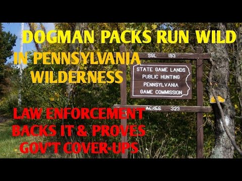 DOGMAN PACKS RUN WILD IN PENNSYLVANIA WILDERNESS, LAW ENFORCEMENT BACKS ...