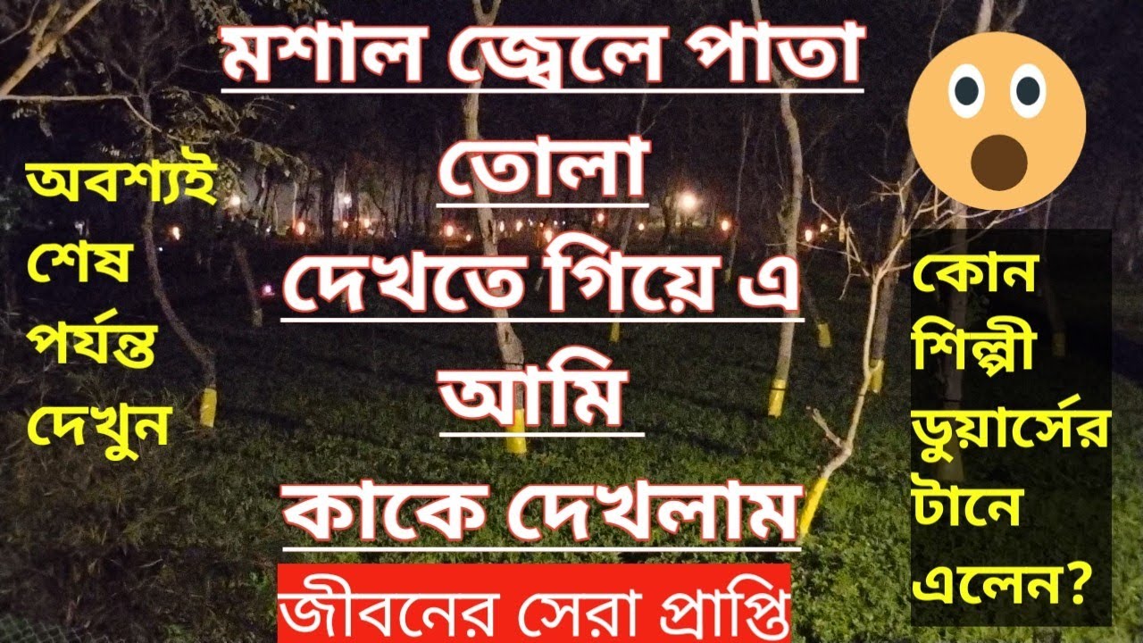 Moonlight tea plucking at Dabri tea garden🌱 ডাবরি চা বাগানে চাঁদের ...