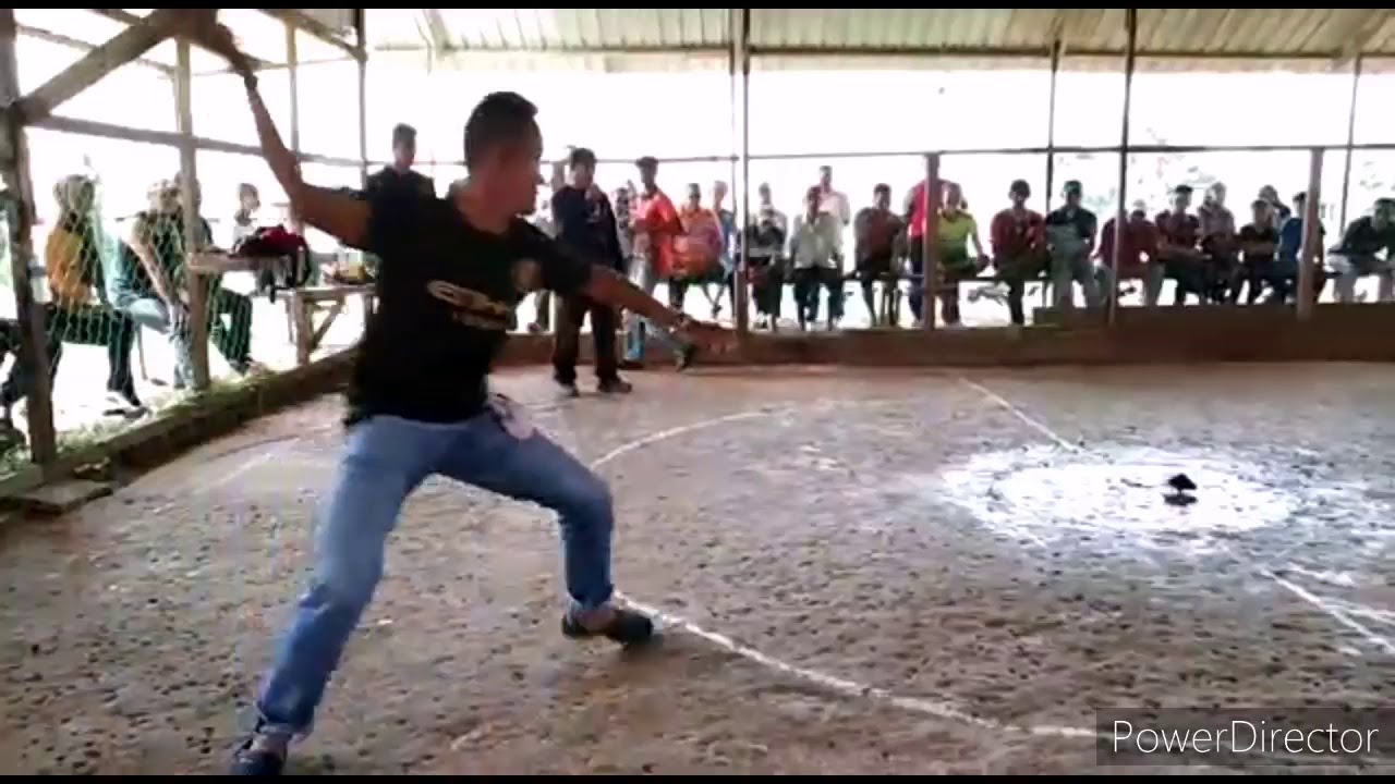 PANGKAK GASING DI DEBAK - YouTube