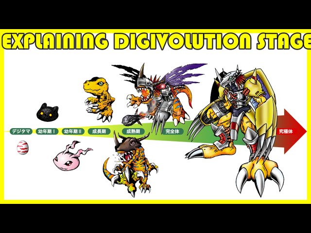 Digivolution Stages Human Evolution | History, Stages, Timeline, Tree,