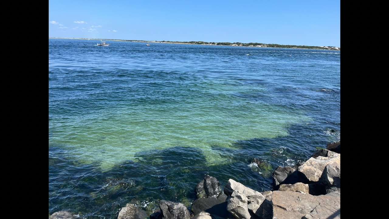 Crazy Eddie is live! By the Sea 🌊 - YouTube