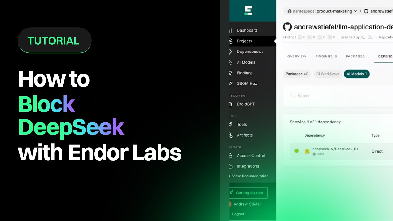 How to Block DeepSeek with Endor Labs - YouTube