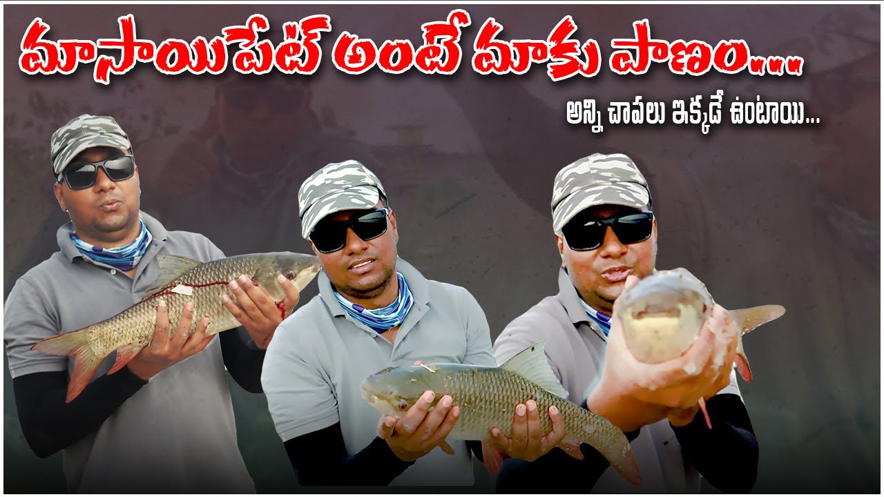 Masaipet lo Fishing Video, Amazing Rohu Fishing, Ravvu Fishing, Hook ...