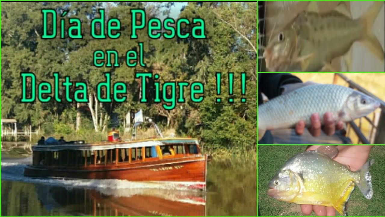 Un dia de pesca en el Delta de Tigre | Pesca Gaucha - YouTube