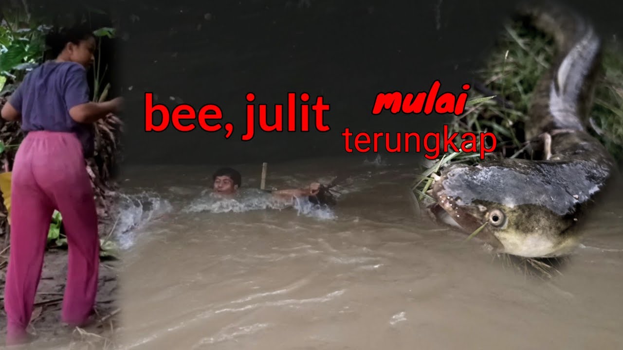 Istri panik ketika di ajak lihat pancing tajur sidat. - YouTube