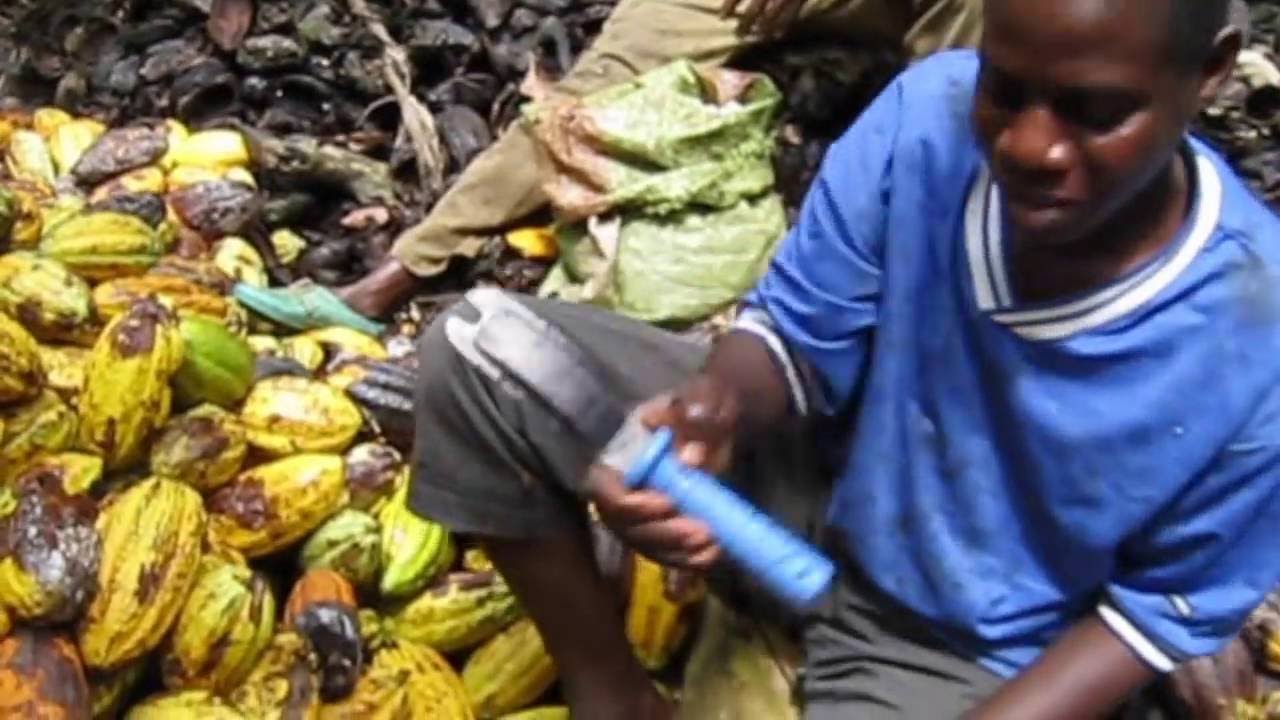 Pelle Bongo - YouTube