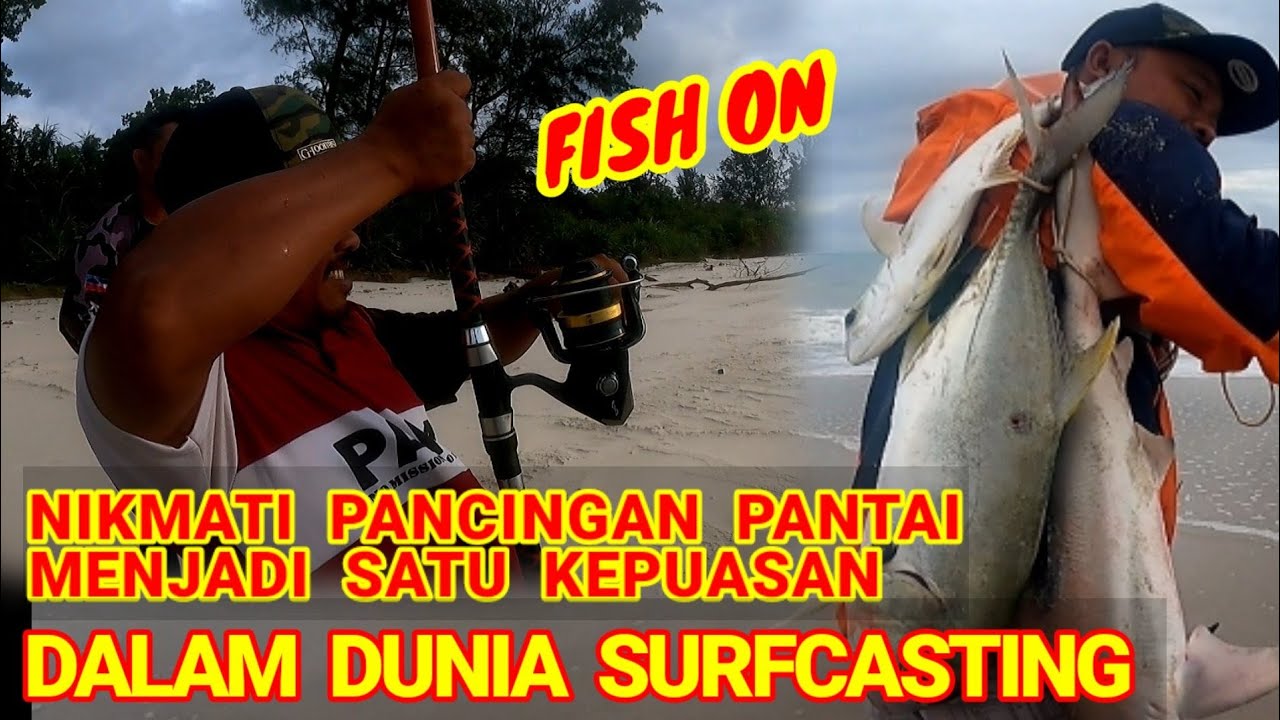 TARIKAN PADU IKAN IDAMAN DIPANTAI KUALA PENYU //GIANT TRIVALY (GT ...