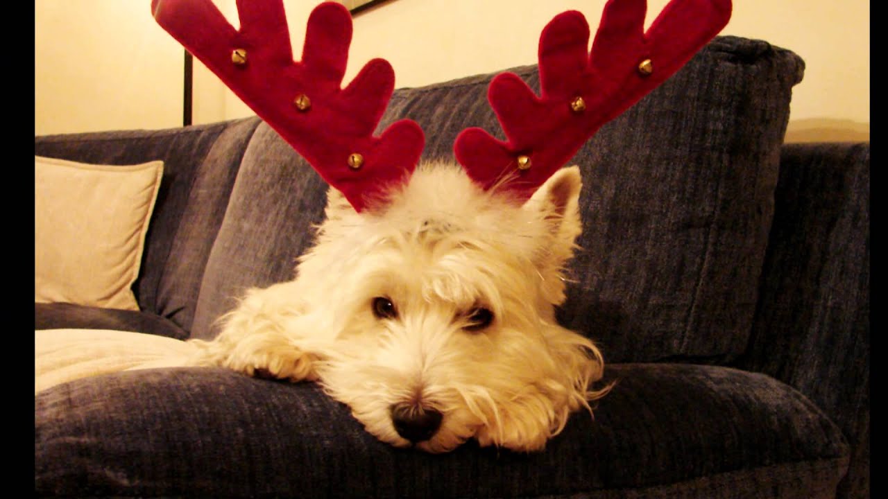 Whisky Marcon Christmas Time - YouTube