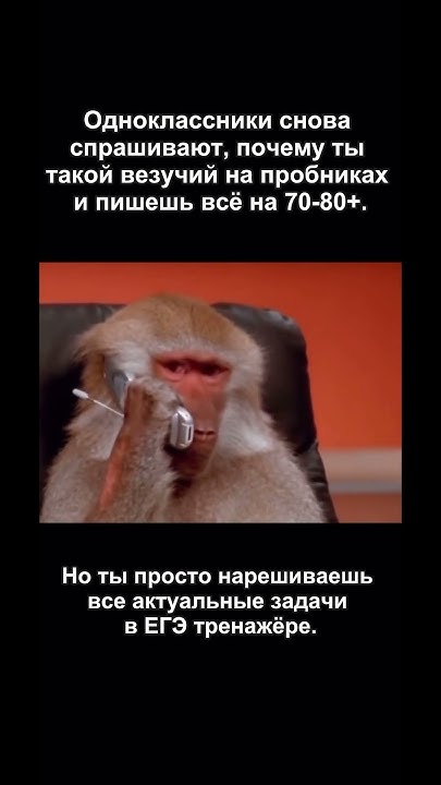 Бесплатный тренажер ЕГЭ по всем предметам по ссылке в шапке профиля ...
