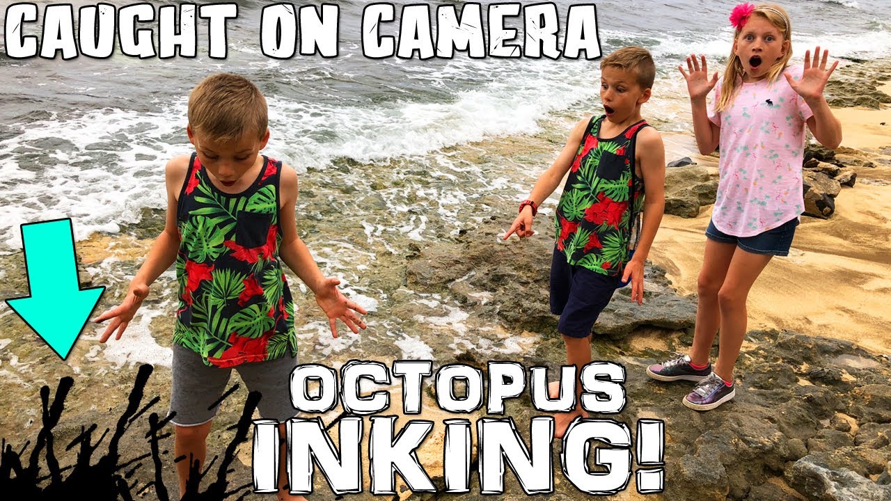 I Got INKED By an Octopus!! - YouTube