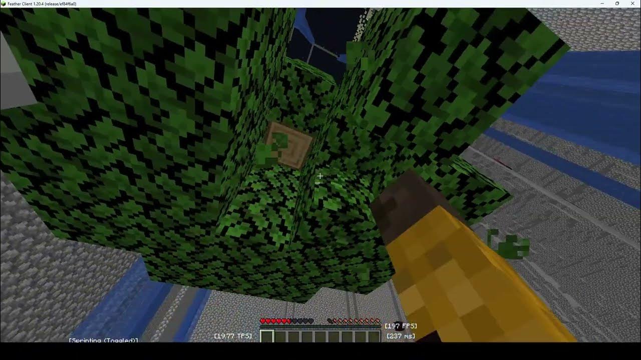 [2024] Minecraft Bot Attack | ToxicityC2 - YouTube