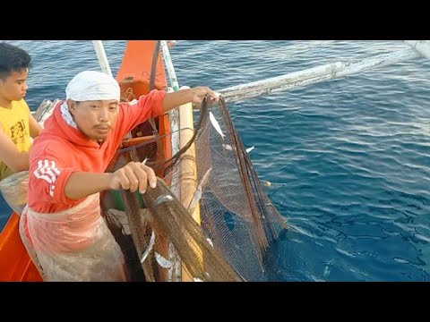 Namuti Ang Lambat nmin sa isdang Lapad or tunsoy - YouTube