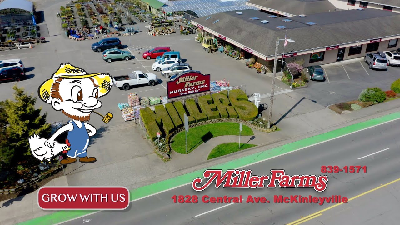 Miller Farms - Fall Clearance - Oct 23rd - YouTube