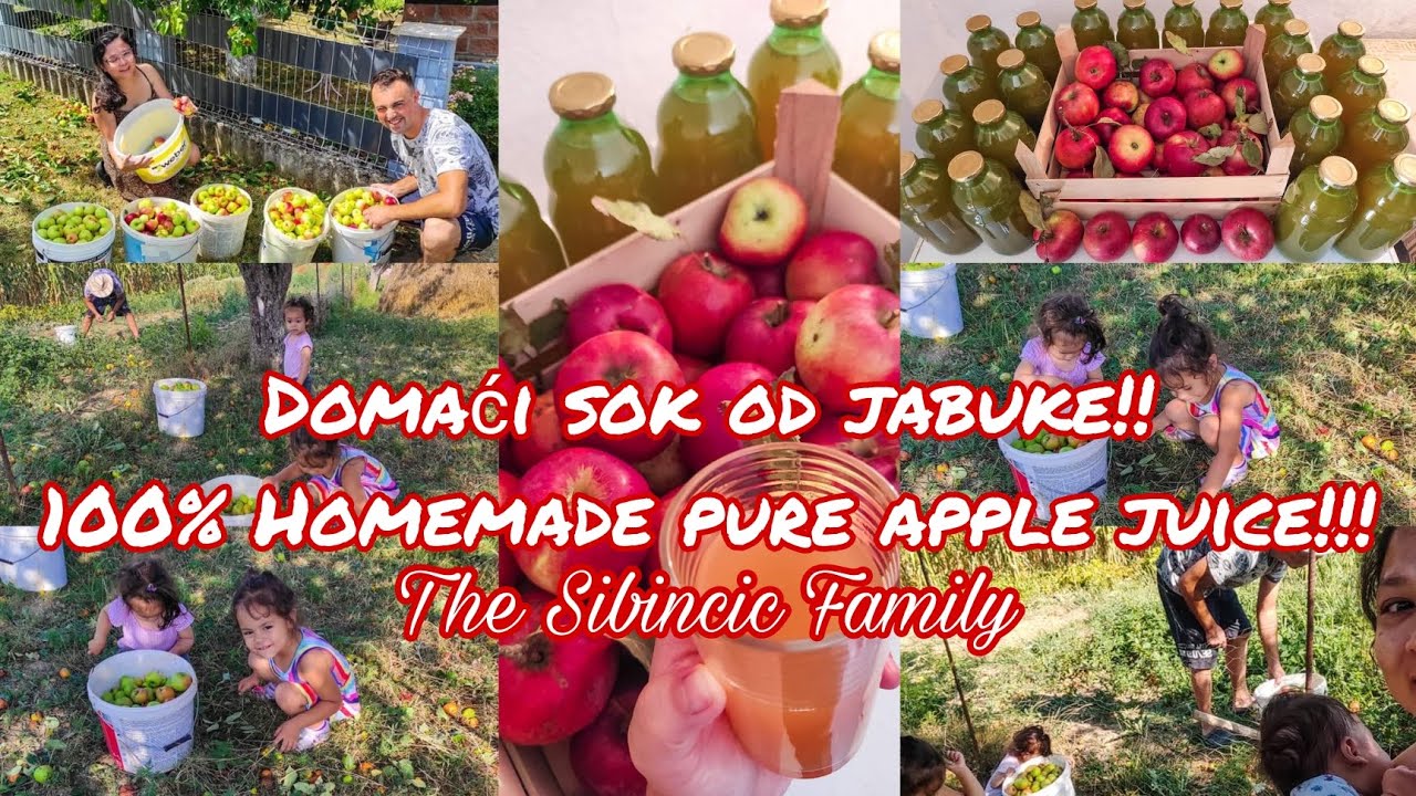 DOMACI SOK OD JABUKE | 100 % HOMEMADE PURE APPLE JUICE | THE SIBINCIC ...