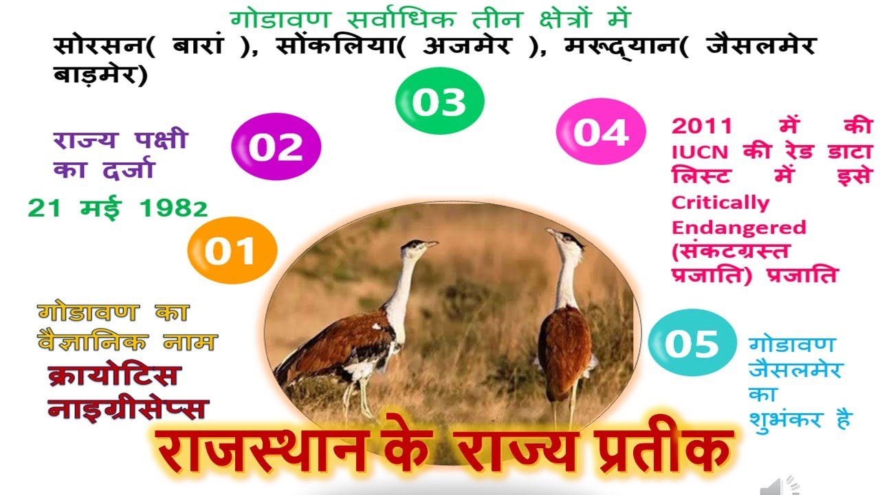 rajasthan ke rajya pratik ||राजस्थान के प्रतीक || state symbol of ...