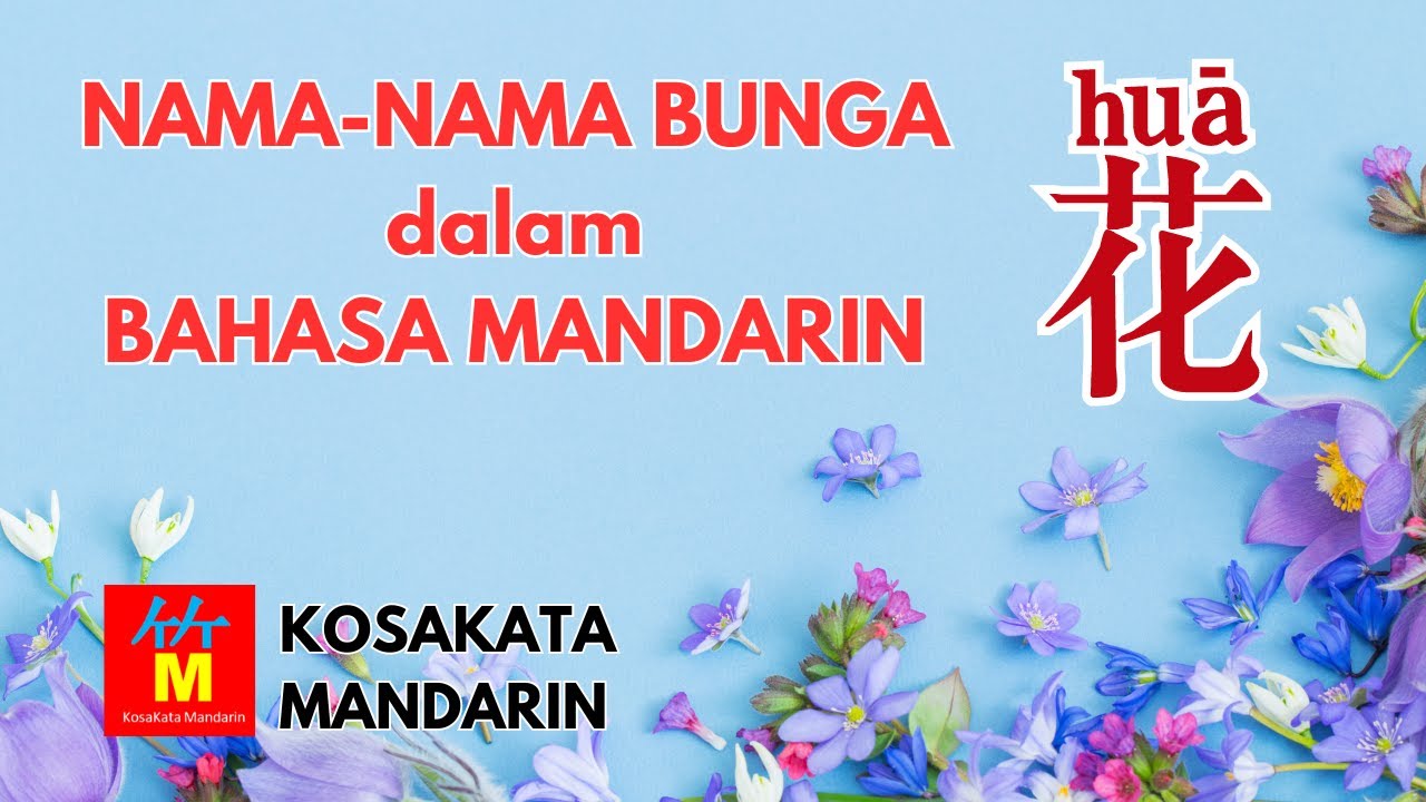 Nama-nama Bunga dalam Bahasa Mandarin | Belajar Kosakata Mandarin - YouTube