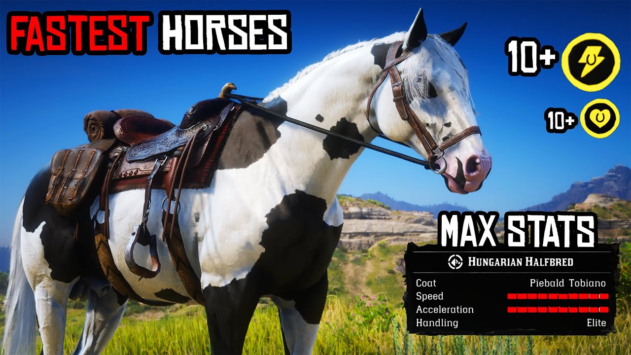 TOP 10 FASTEST HORSES IN RED DEAD REDEMPTION 2 ONLINE - YouTube