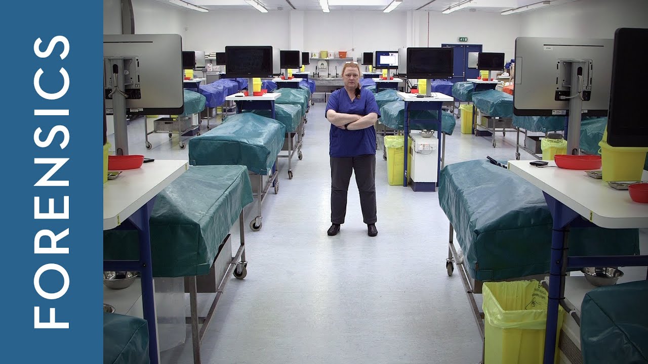 Forensic Identification