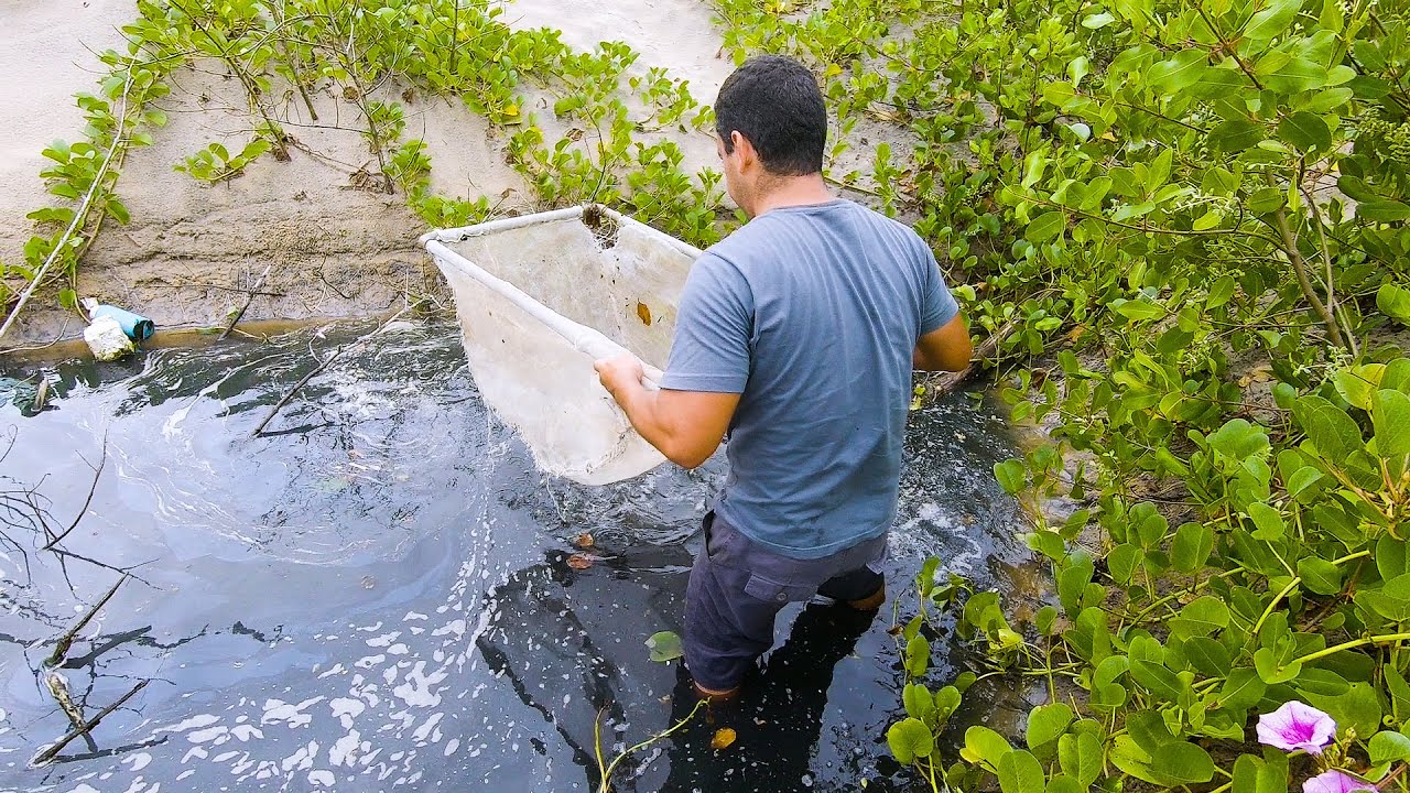 PEGAMOS PEIXES NA ÁGUA PODRE - PESCARIA DE PENEIRA - YouTube