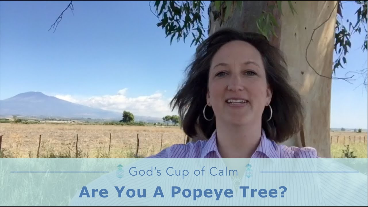 Are You A Popeye Tree? - YouTube