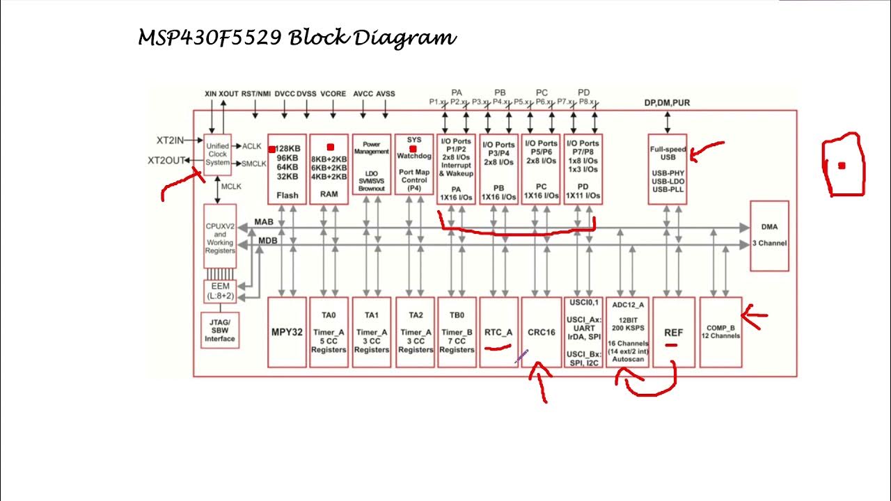 MSP430F5529 Block Diagram||Microcontroller & Embedded Systems Design ...