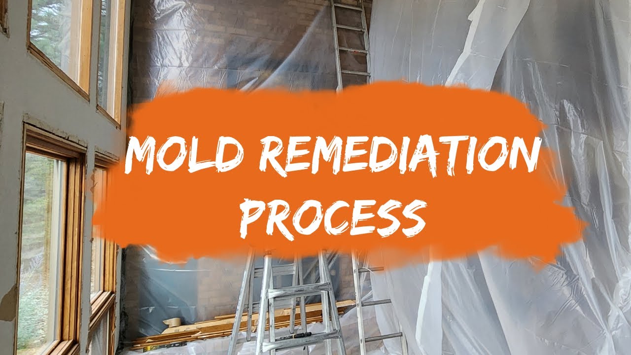 CPT SKULLY'S CRAFTSMAN SERVICES - MOLD REMEDIATION - COLORADO SPRINGS ...