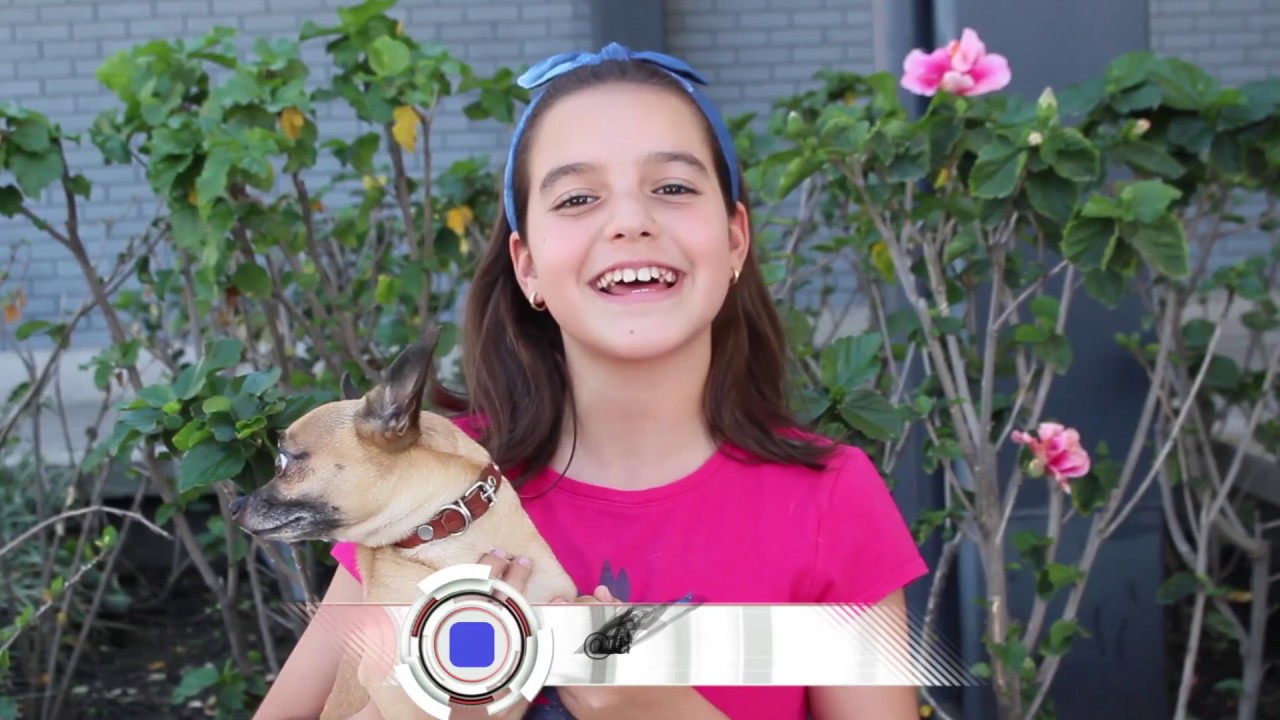 The Pet Show - YouTube