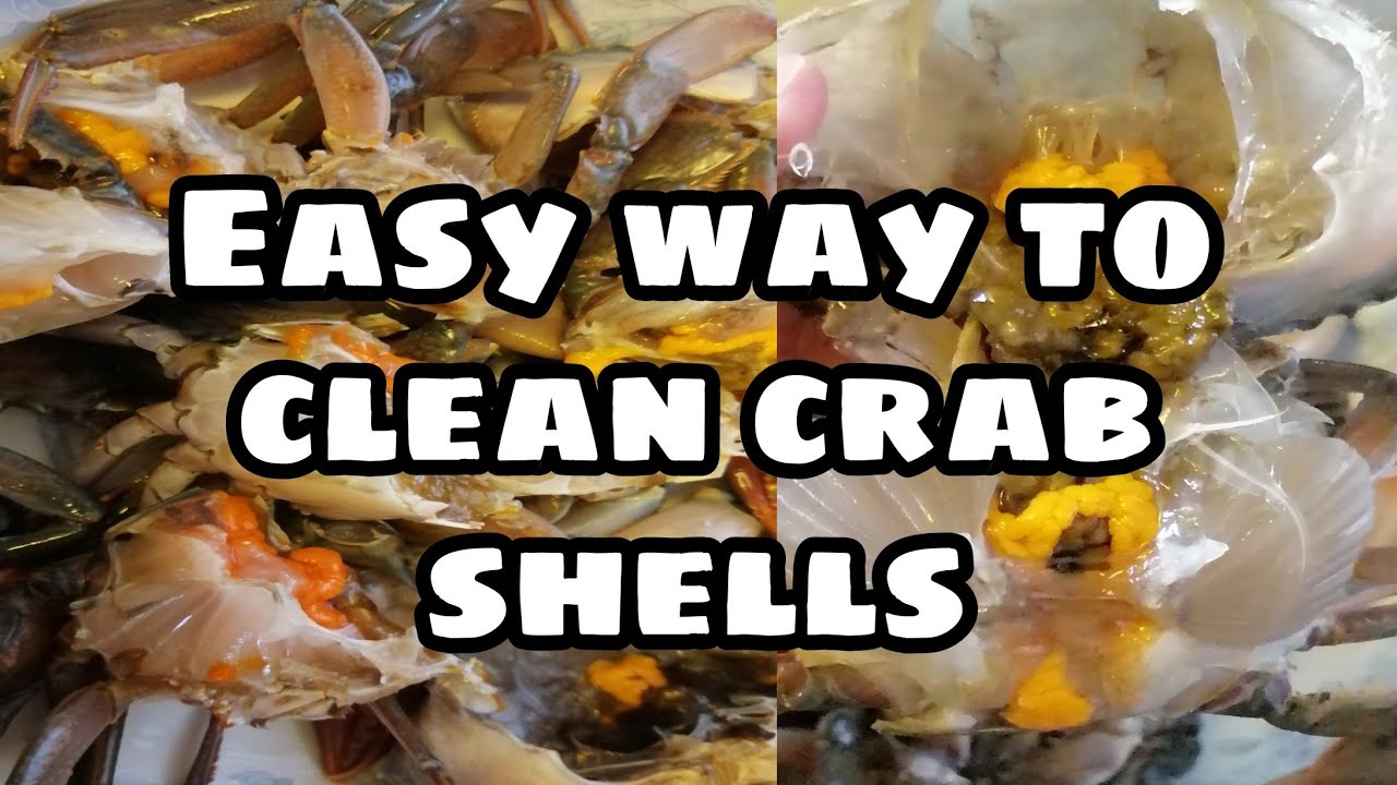 ♦️How to Clean Crab Before Cooking | easy way to clean crab shells ...
