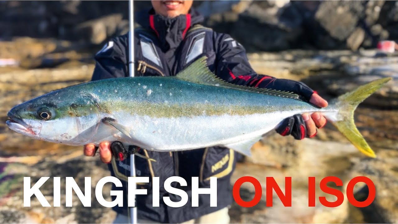 First Kingfish on ISO - YouTube