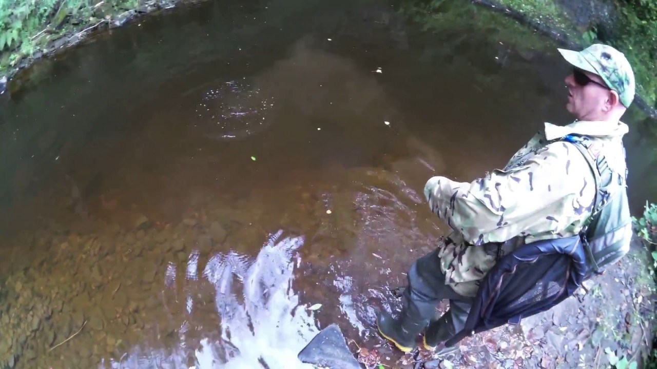 Scouting a new tributary of the River Irwell - Fly Fishing - YouTube