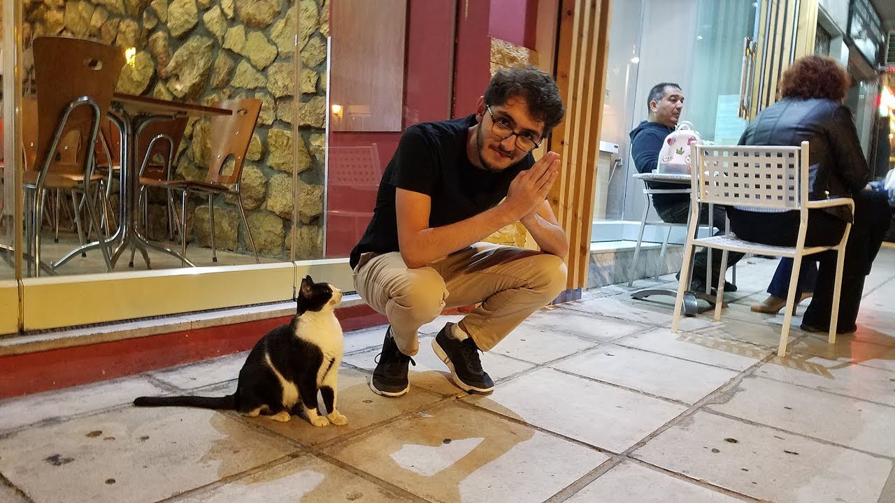 NUin Greece 2017 | Kia Zafar - YouTube