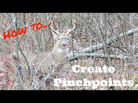 How To Create The Ultimate Rut Funnel - YouTube