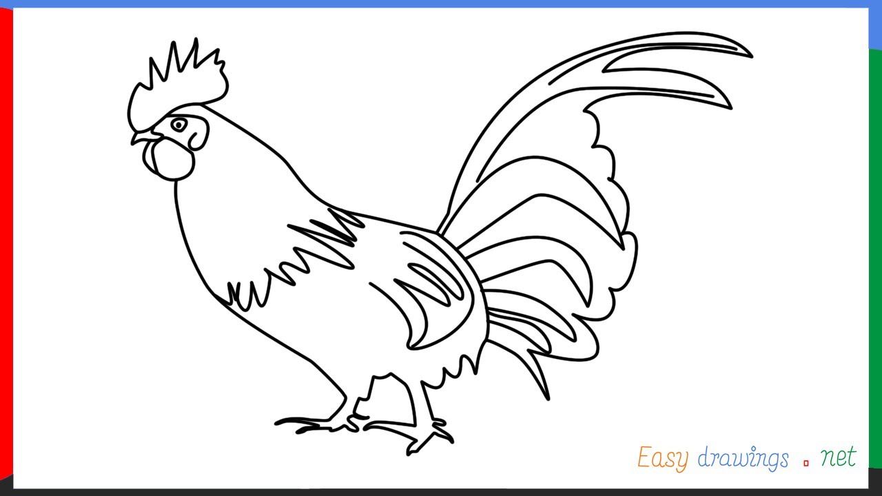 Easy Rooster Drawing
