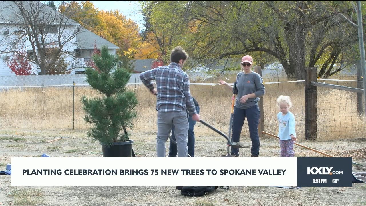 Planting celebration brings 75 new trees to Spokane Valley - YouTube