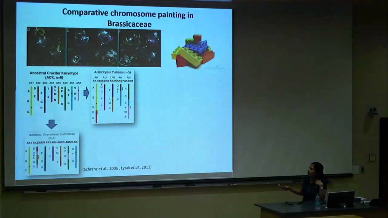 Putting Together Genomic Jigsaw Puzzles and Decoding the Messages in a ...