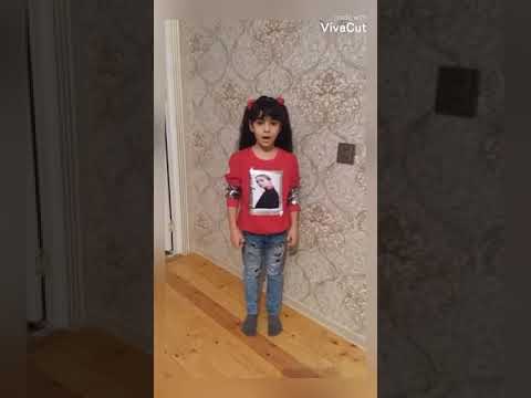 Meyvelerin sohbeti