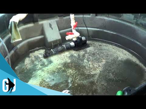 #354: Moving the 300 Gallon Turtle Stock Tank - Update Monday - YouTube