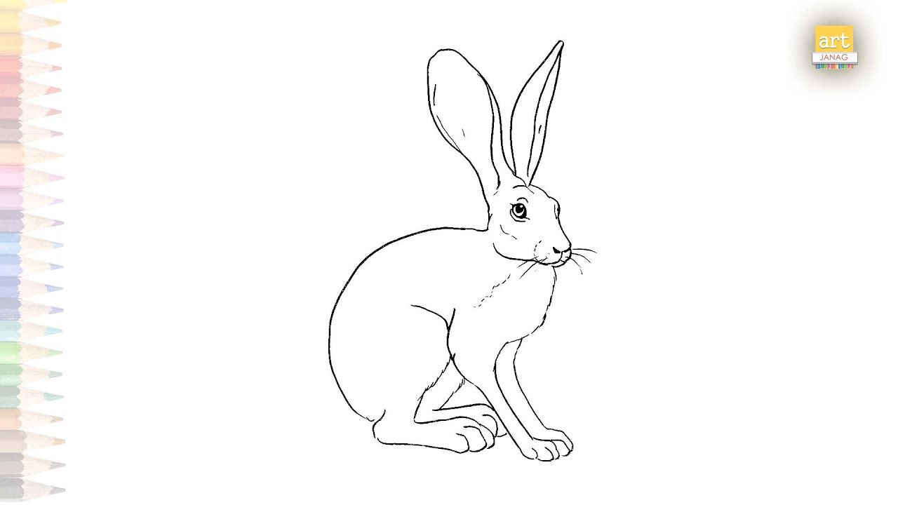 Easy Way to Draw a Rabbit in Minutes Without Practice | Outline art ...