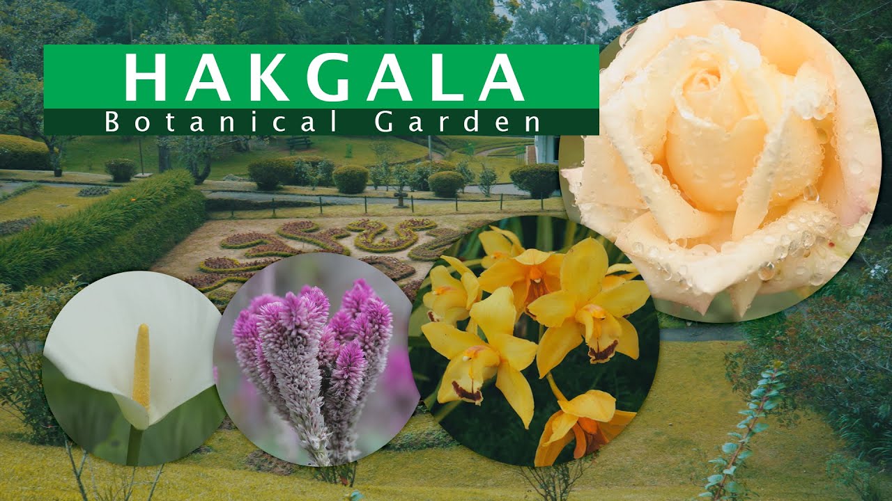 Hakgala Botanical Garden