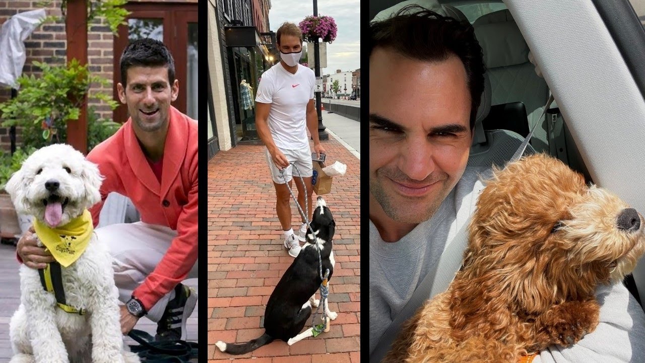 3 tennis legends and their love for dogs (Nadal, Federer, Djokovic) 🎾 ️ ...