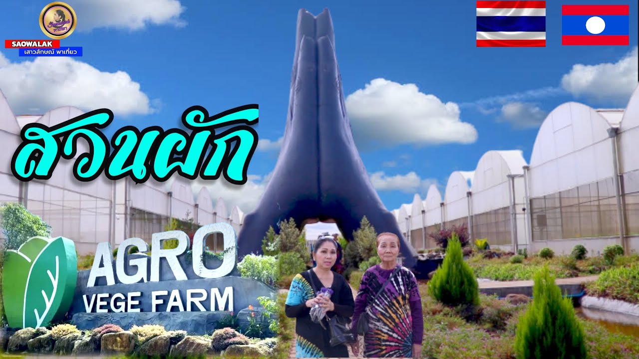 สวนผักมือพนม AGRO VEGE FARM สปป.ลาว เสาวลักษณ์พาเที่ยว Saowalaktravel ...