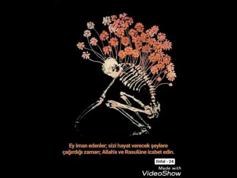Vocal Nasheed  Müziksiz İslami Fon