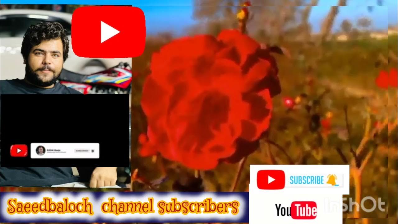 islamic video in urdu #islamic #shortvideo #reels #foryou #syedsarmadphotography🕋☝☝🕋🕋🕋🕋☝ #reels# ...