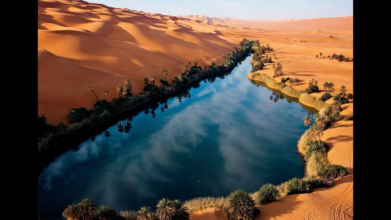 Beautiful Desert Oasis