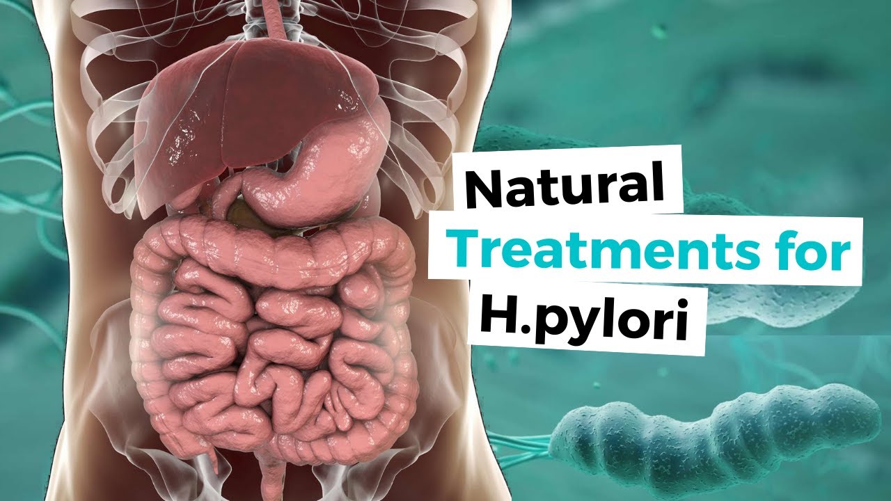 Natural Treatments For H. pylori- Au Naturale - [ Kill Bacteria Better ...